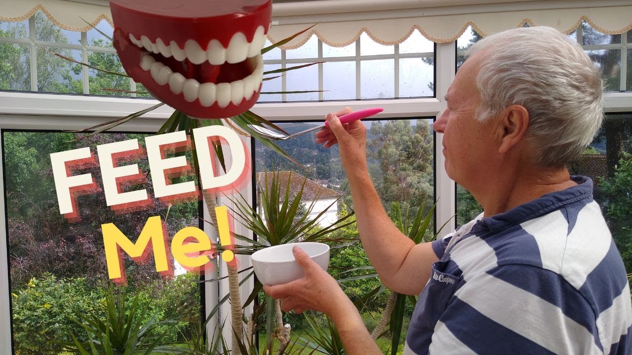 How to Fertilize Your Plants by Using a Stinking Weed - YouTube