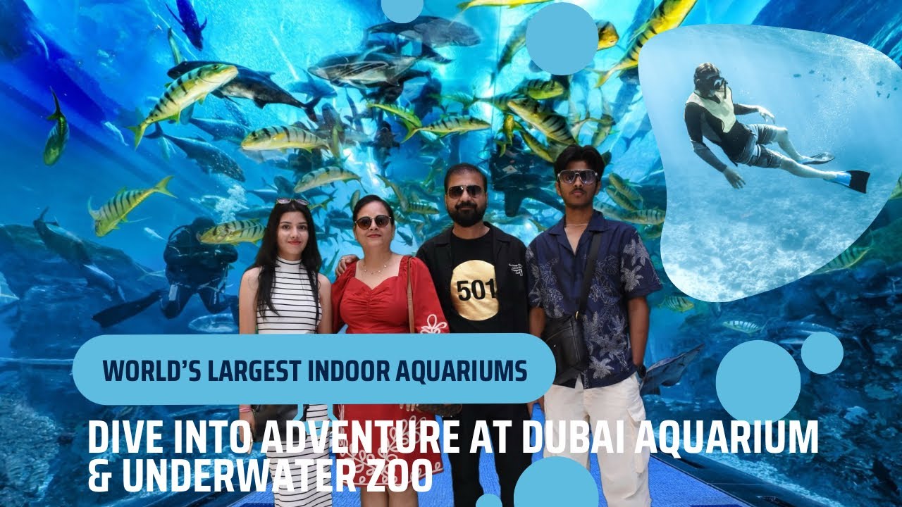 Dive Into Adventure at Dubai Aquarium & Underwater Zoo | Experience ...