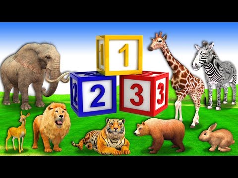 Learn counting 1 to 100 | 123 numbers | one two three, 1 से 100 तक ...