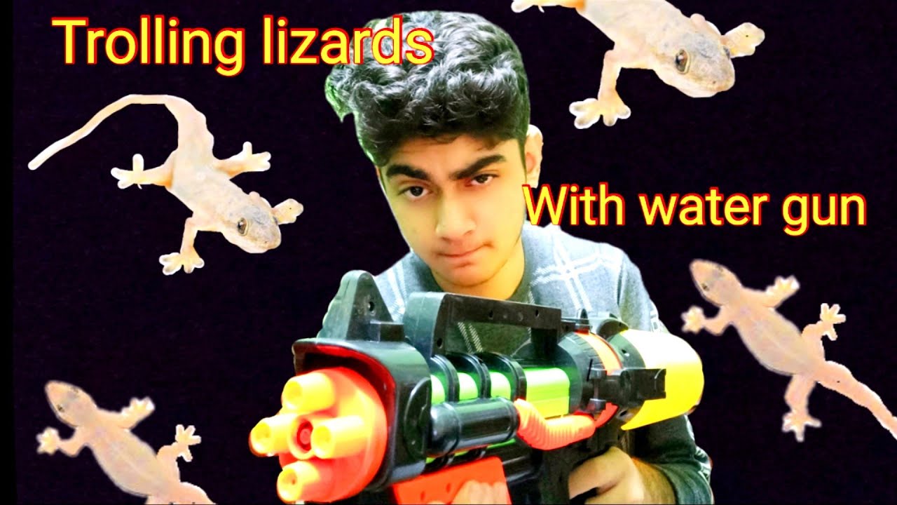 trolling lizards with water gun - YouTube