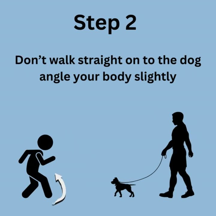 5 Simple steps to teach children safe dog interactions - YouTube