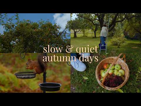 Cozy Autumn Days in the Countryside | Silent Vlog #94
