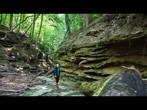 𝗖𝗵𝗲𝗶𝗹𝗲 𝗕𝗮𝗵𝗹𝘂𝗶𝘂𝗹𝘂𝗶 - YouTube