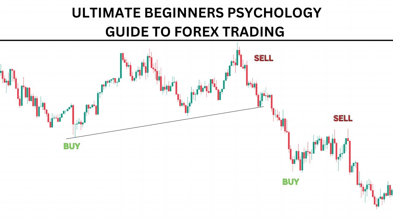 3 Tips Everyone Needs to Know Before They Start Forex Trading (For ...
