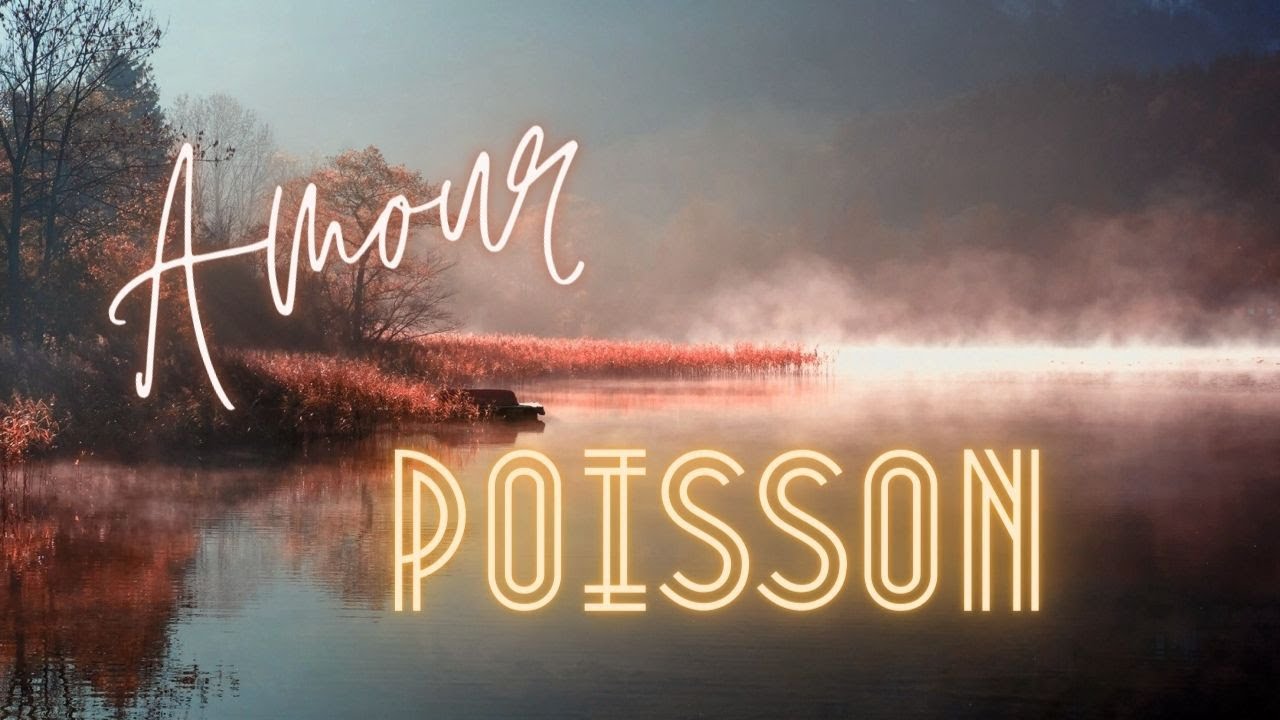 Poisson en Amour * Le retour....mais sous quelles conditions?* Guidance ...