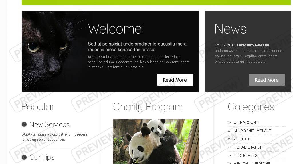 Vet Website Template - YouTube
