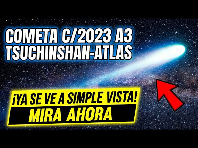 Tribal Del Cometa