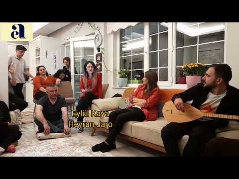 Eylül Kaya: Heyran Jaro