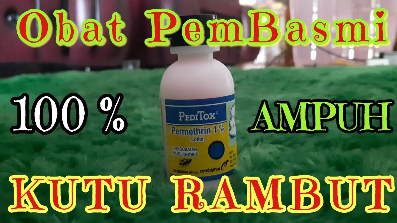 PEDITOX Obat Paling Ampuh Pembasmi Kutu Rambut Dijamin Mati - YouTube