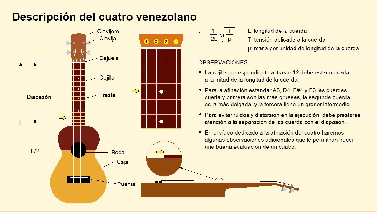 Descripción de cuatro venezolano - YouTube