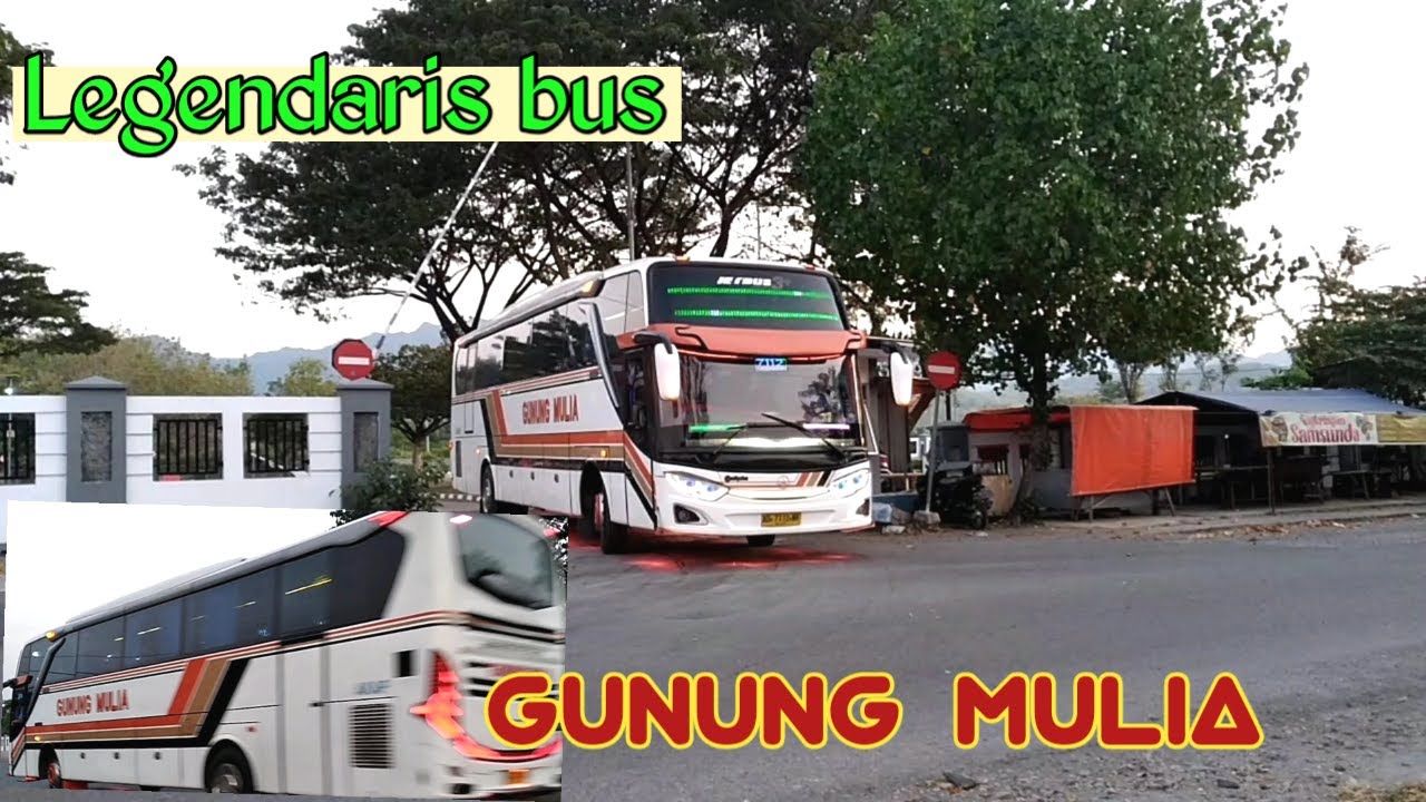 GUNUNG MULIA BUS LEGENDARIS EKSIS JARANG DIEKPOSE - YouTube