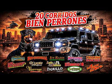 🔥 Corridos Perrones Mix Pa' Pistear 💣  Tucanes De Tijuana , Grupo Exterminador , Los Razos .......