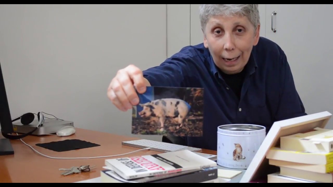 La filosofia e il problema dei diritti degli animali. Intervista ad ...