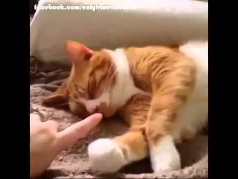 Sabah uyandırılınca ben
