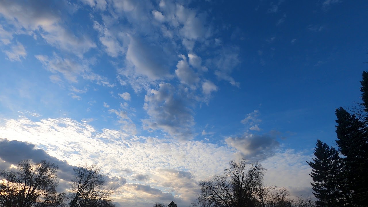 Altocumulus floccus, Altocumulus stratiformis, and Cumulus GH010083 ...