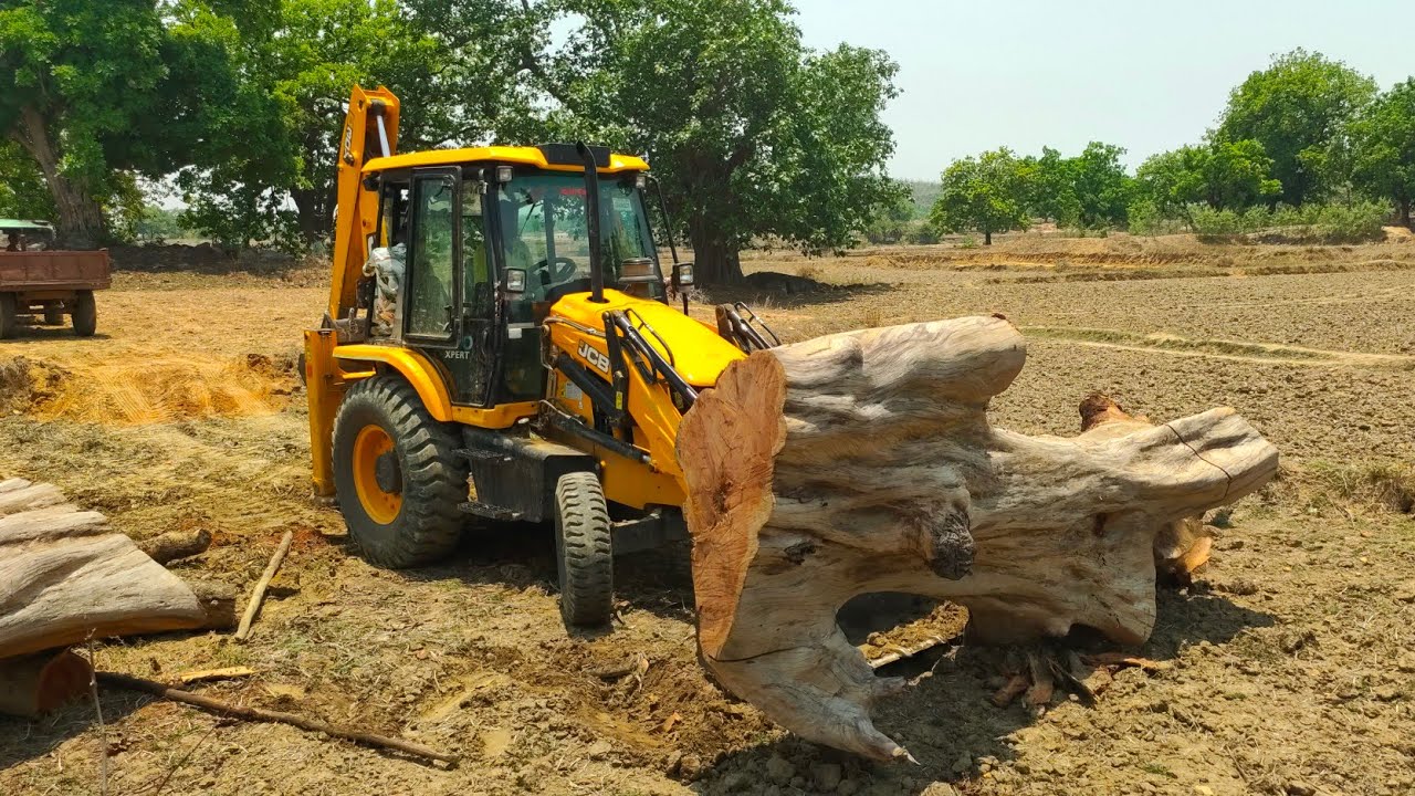 JCB Backhoes Vs Tree Loading Working ll JCB Backhoes Standing Style ...