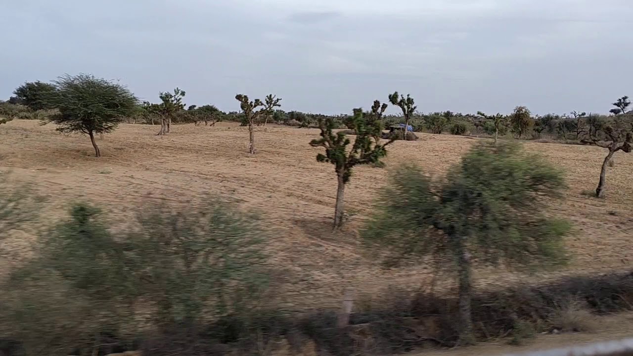 थार मरुस्थल राजस्थान ।। Thar Rajasthan ।। thar registan !| थार ...