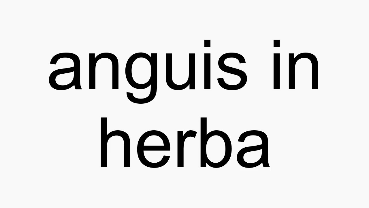 How to pronounce anguis in herba - YouTube
