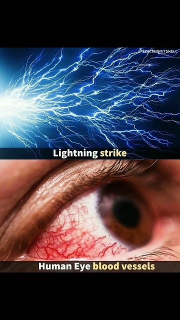 Our Body VS Universe || Similar things - Eye VS Nebula || #shorts #fact ...