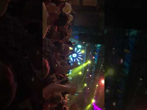 Steve aoki despacito remix
