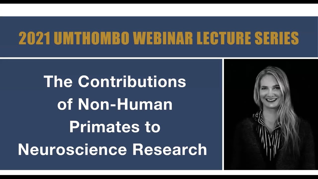 Wits Umthombo Webinar Series - YouTube