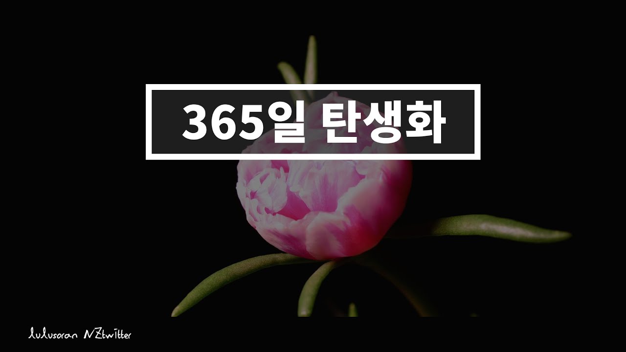 365일 탄생화와 꽃말이 여기 다 있어요 365 days of Birth Flowers [뉴질랜드 브이로그] - YouTube