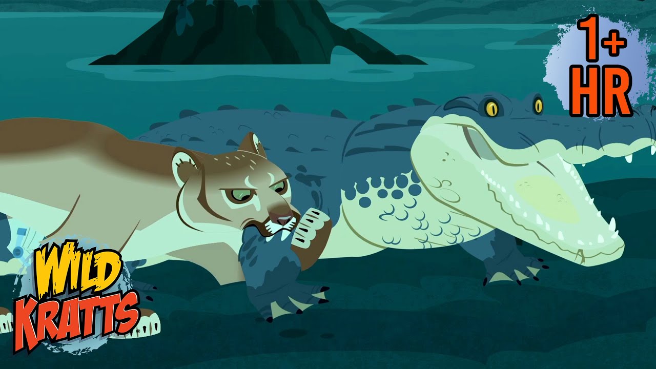 Florida Panther vs Alligator | Rare Creature Battles | Wild Kratts ...