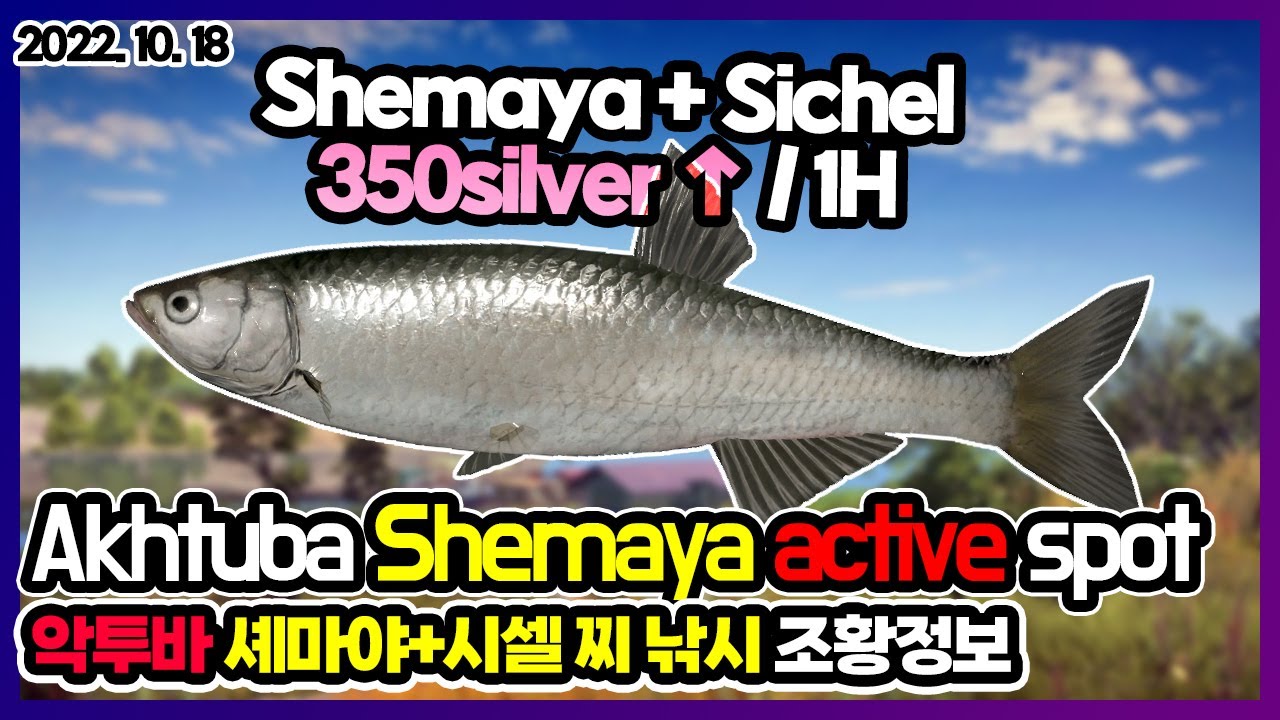 221018 악투바강 셰마야 시셀 찌낚시 조황정보 Akhtuba River Shemaya Active float Spot l ...