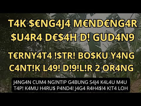 rahasia kebahagiaan istri bosku #kisahnyata 