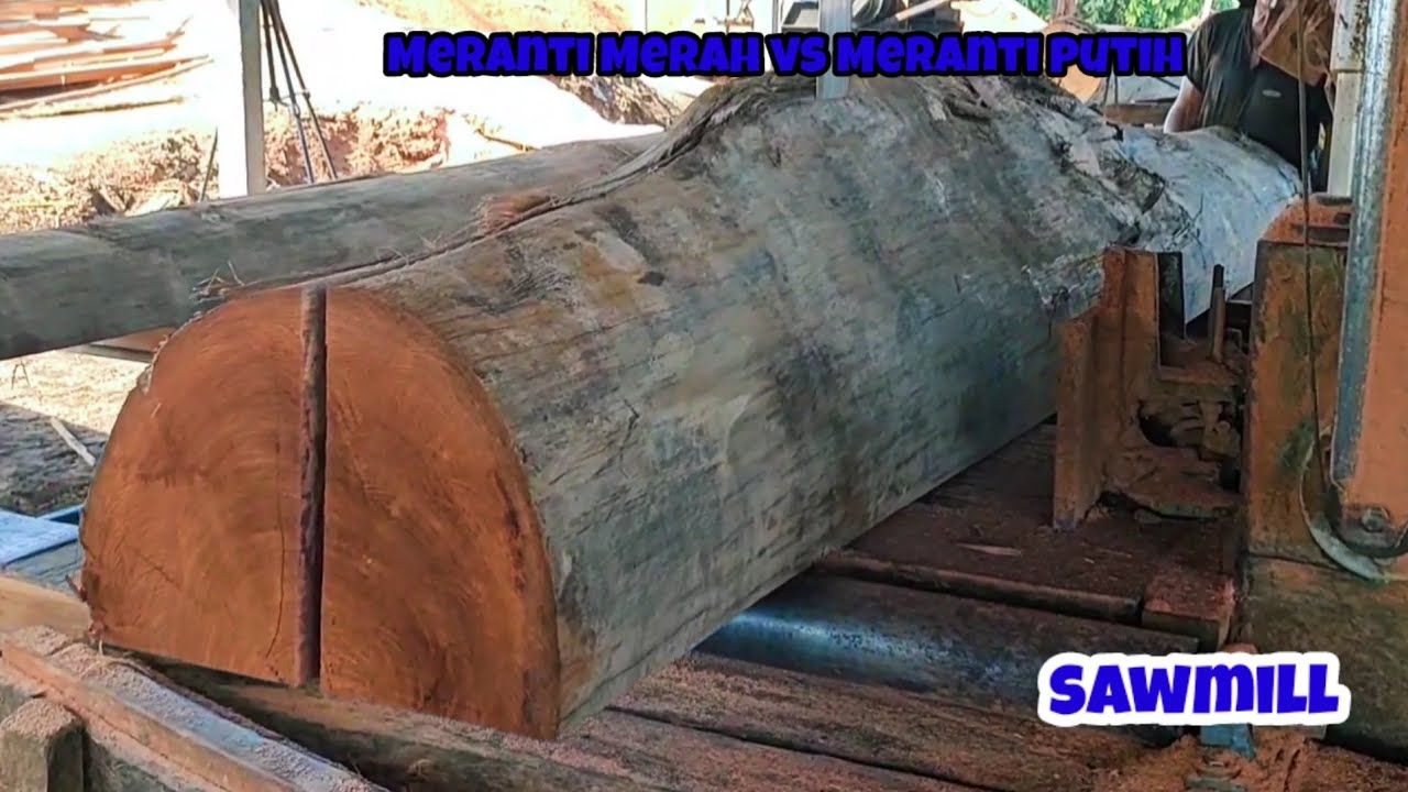 menggergaji kayu Meranti merah vs Meranti putih #woodworking - YouTube