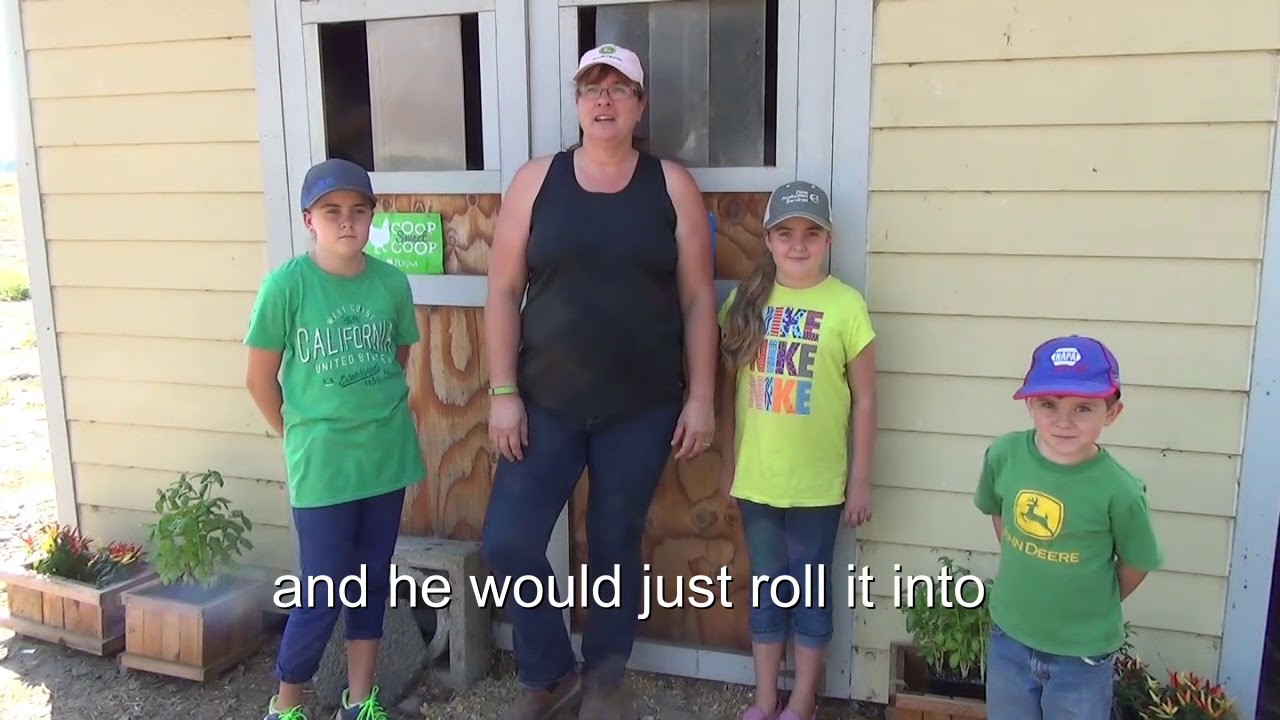 5-year-old Brandon Glaser’s Fresh Egg Business - YouTube