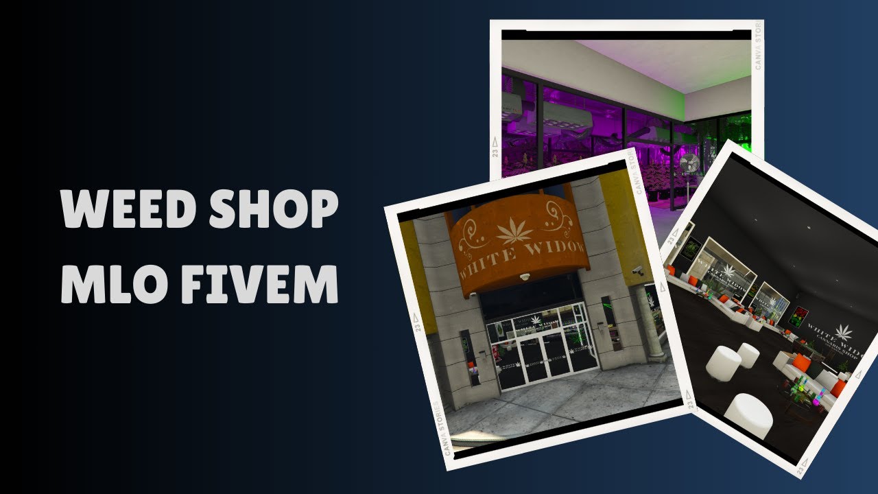 Discover the Ultimate Weed Shop MLO in FiveM! - YouTube