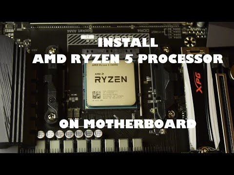 How To Install AMD Ryzen 5 5600G Processor on AM4 Gigabyte B550 AORUS ...