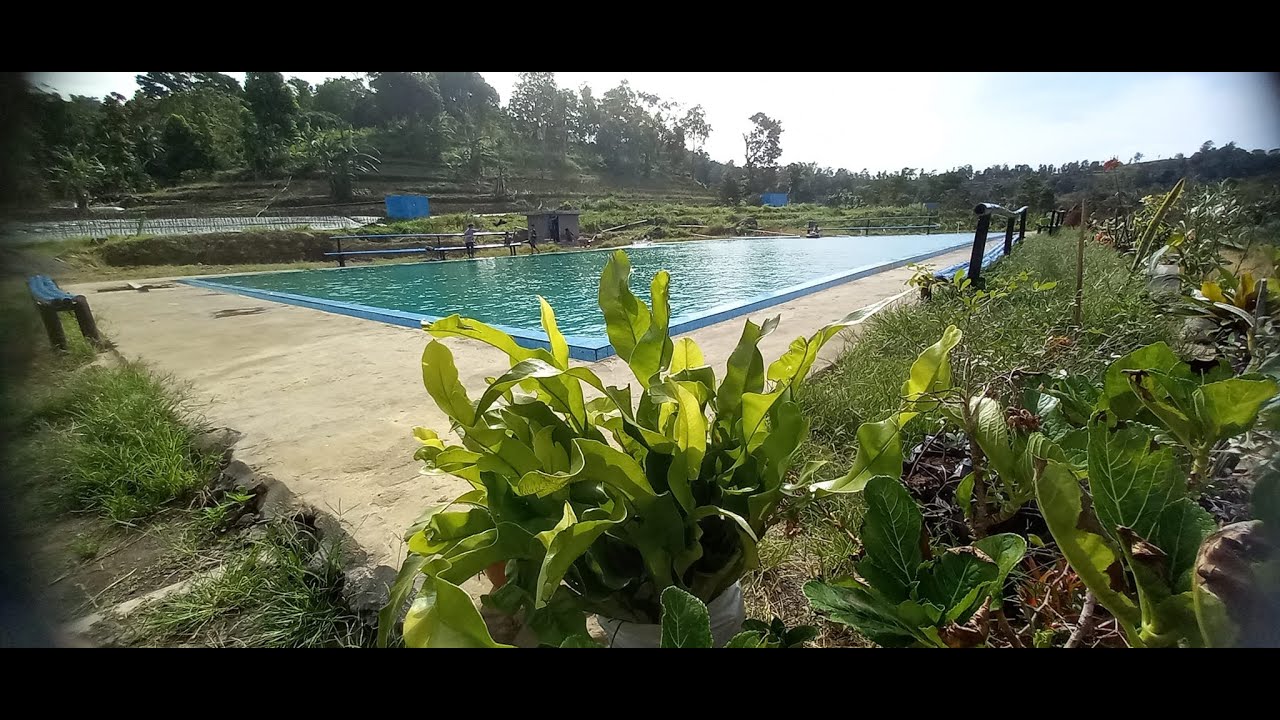 Permandian Agrowisata Lembah Biru Garege Desa kassi Kecamatan Rumbia Jeneponto - YouTube