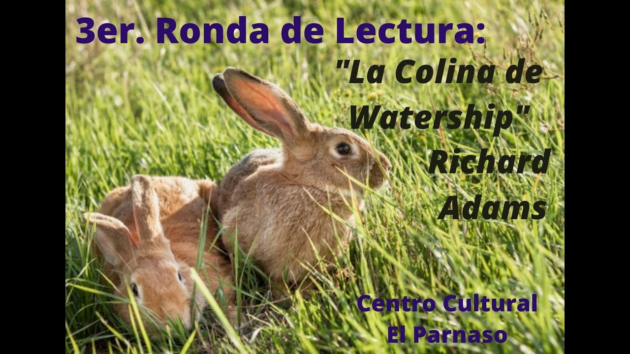 3er Ronda de Lectura: "La Colina de Watership" de Richard Adams ...