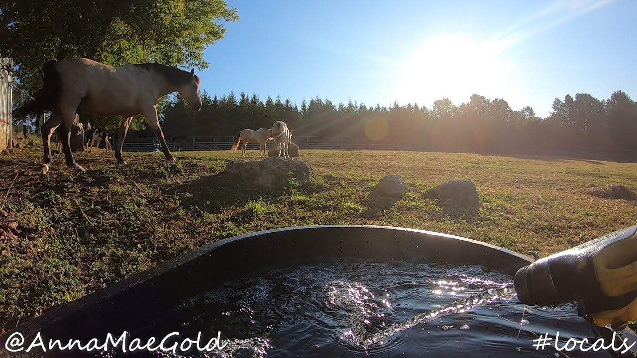 hay & water - YouTube