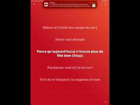 The Shin Sekai feat Gradur - Aime moi demain (Paroles)