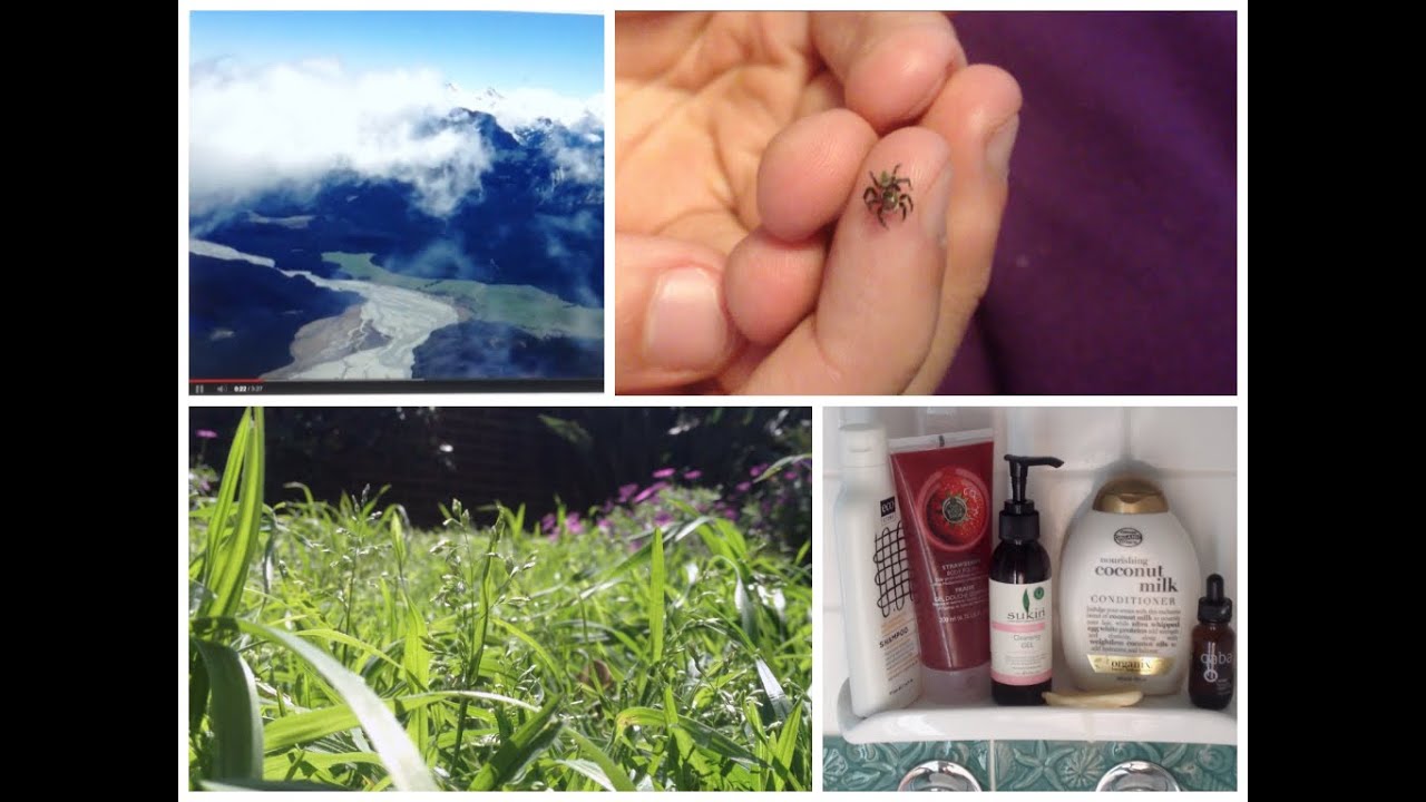 VLOG #4: Teleporting Spider, Crazy Storms & Reviewing Recommended Music ...
