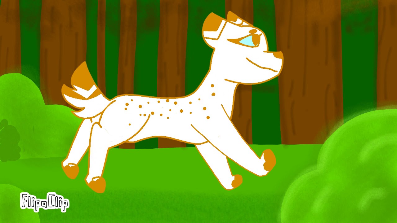 Running Cat Animation [FLIPACLIP] - YouTube