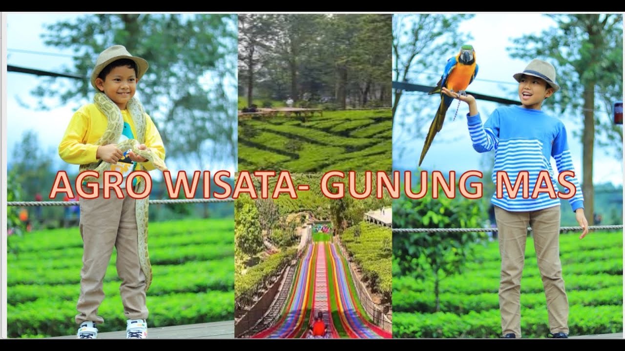 Agro Wisata Gunung Mas - YouTube
