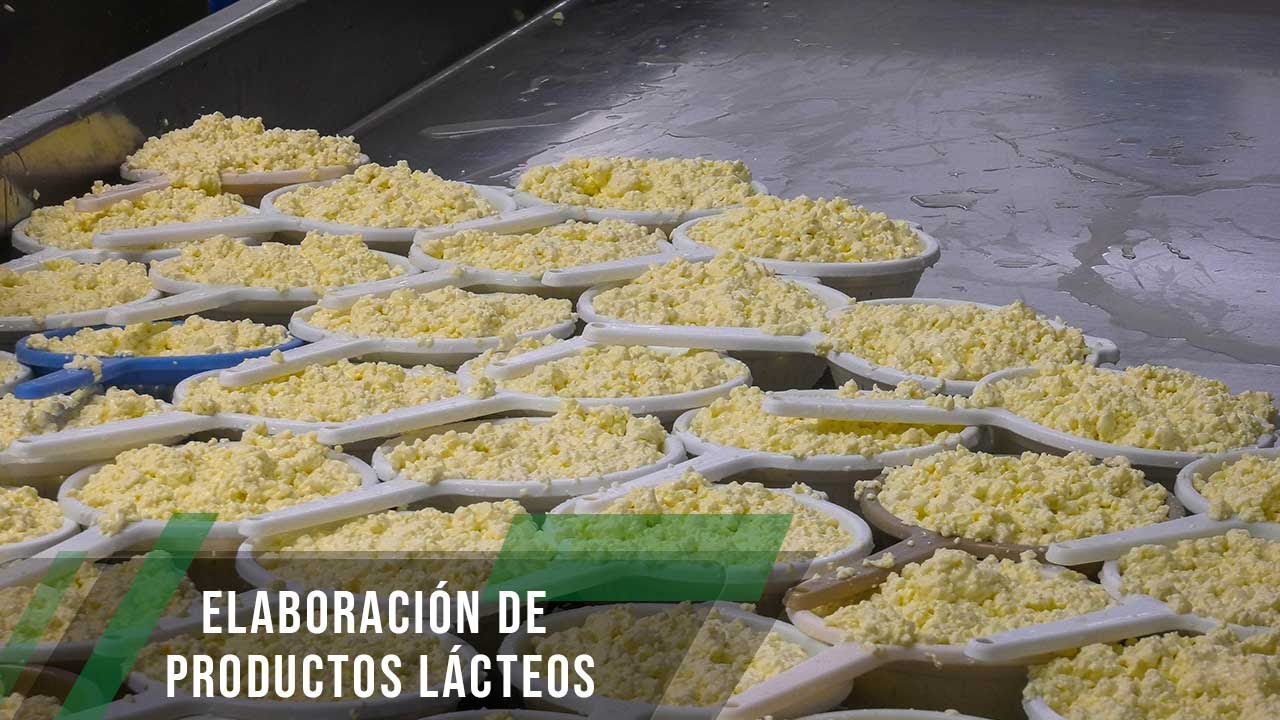 Elaboración de productos lácteos - TvAgro por Juan Gonzalo Angel ...