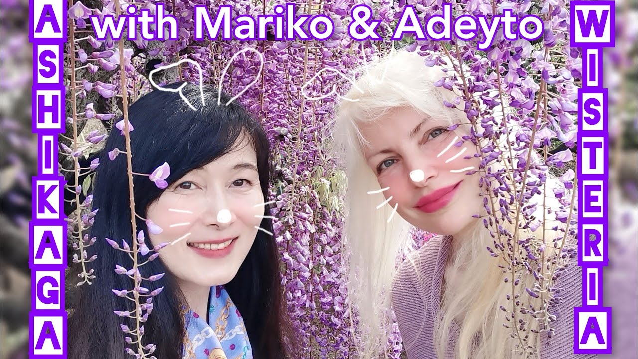🐰 Adeyto & Mariko at JAPAN's HUGEST WISTERIA TREE ASHIKAGA FLOWERS PARK ...