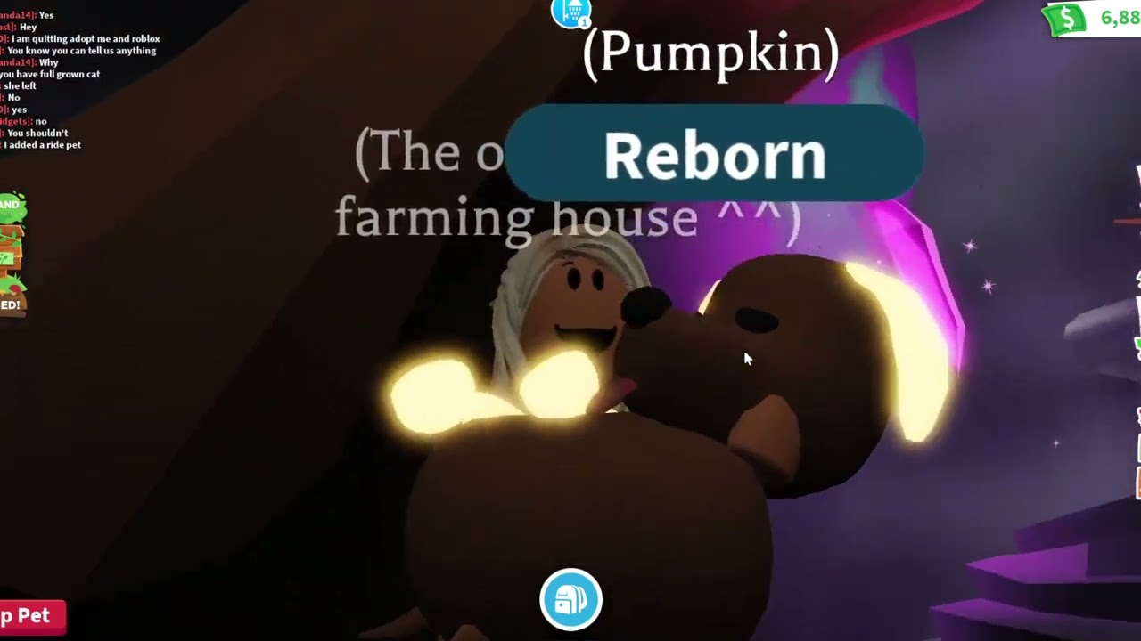 I MADE A NEON CHOCOLATE LAB IN ADOPT ME... - YouTube
