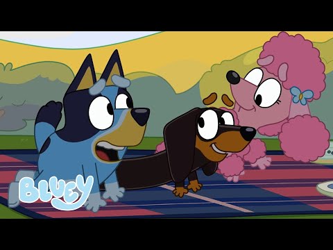 Bluey, Cacau e Salsicha Correm Atrás dos Cupcakes! 🧁 💜 | Bluey Português Brasil Canal Oficial