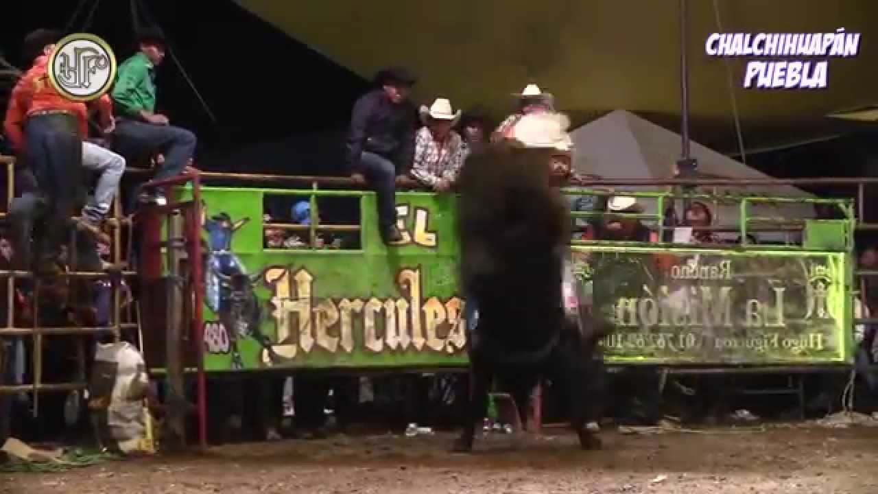 Sorprendente Perro Aguayo Vs Vaquerito En San Bernardino Chalchihuapan ...