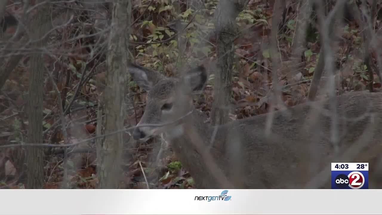 First case of CWD detected in Menominee County wild deer - YouTube