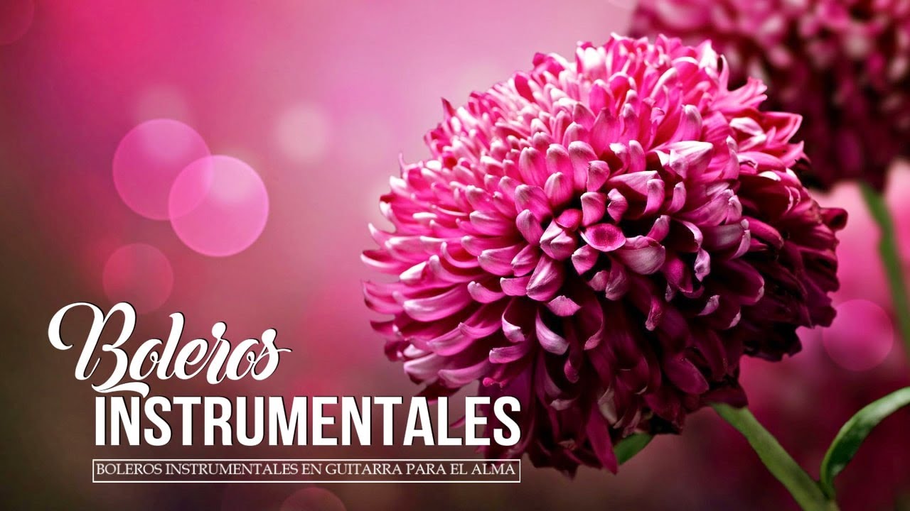 Las 100 Mejores Canciones Instrumentales - Boleros Instrumentales Para ...