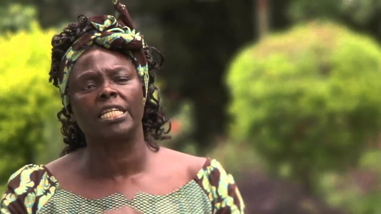 Wangari Maathai The Green Belt Movement An Example of Sustainable ...