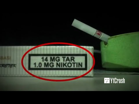 Rahasia 10 Manfaat Rokok yang Disembunyikan Para Ilmuwan & Pemerintah bagi Kesehatan