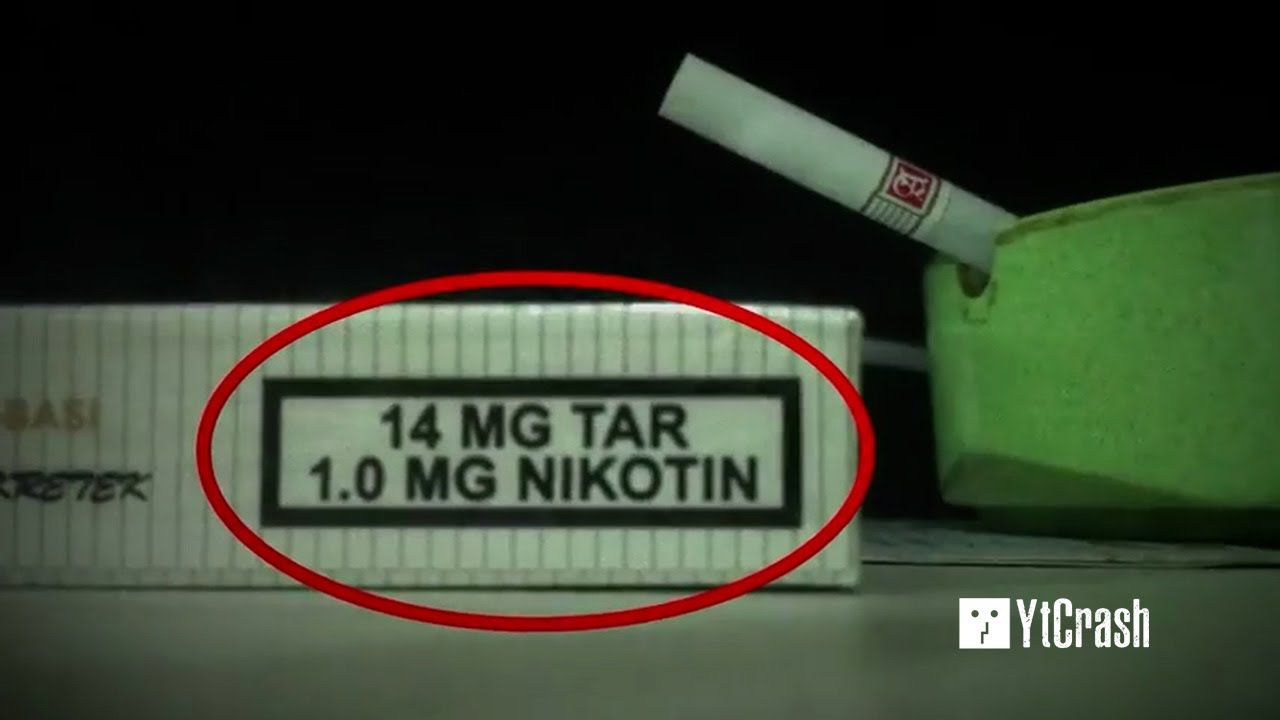 Rahasia 10 Manfaat Rokok yang Disembunyikan Para Ilmuwan & Pemerintah ...